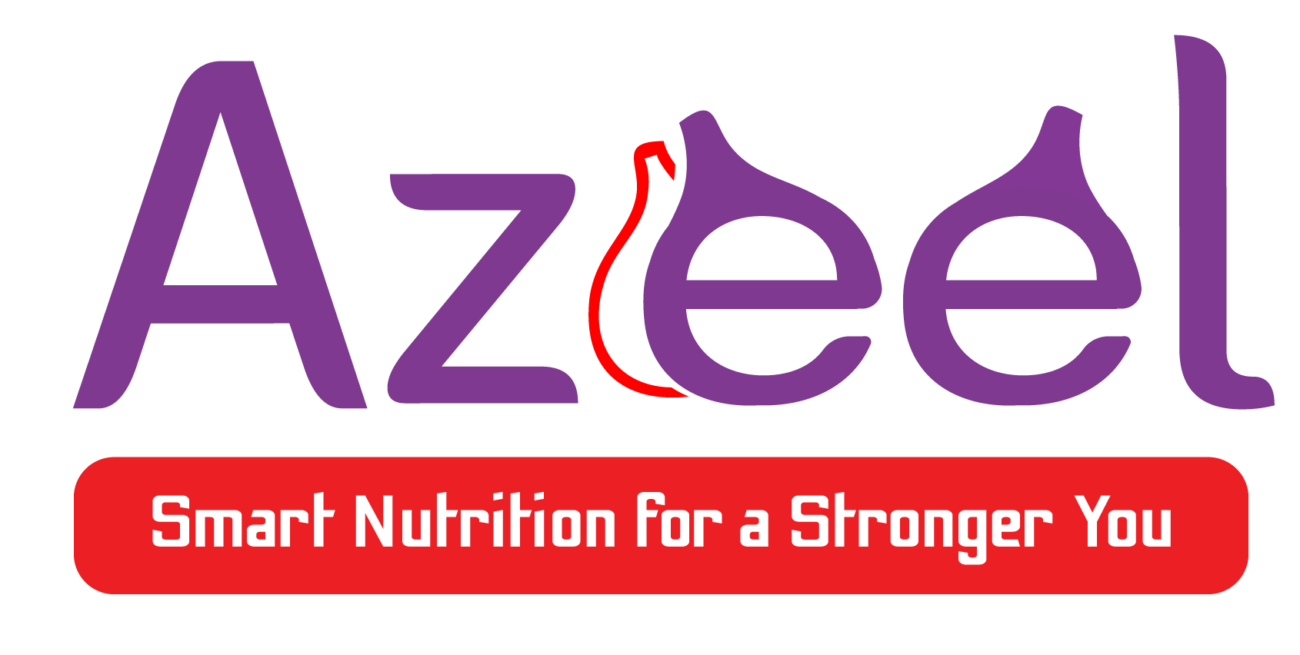 azeel.in